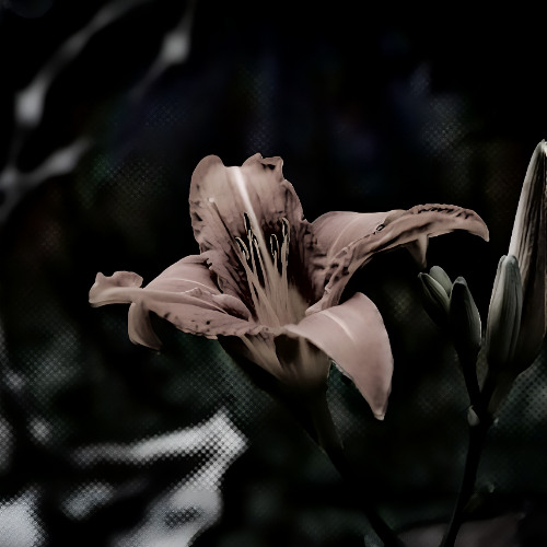 Stream FLower by SHATEN | Listen online for free on SoundCloud