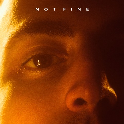 Stream Not Fine by Lord Spark | Listen online for free on SoundCloud