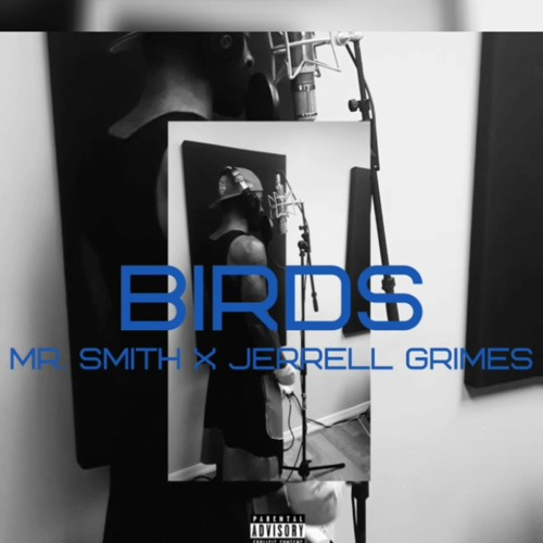 Stream & Jerrell Grimes - BIRDS by Mr. Smith | Listen online for free ...