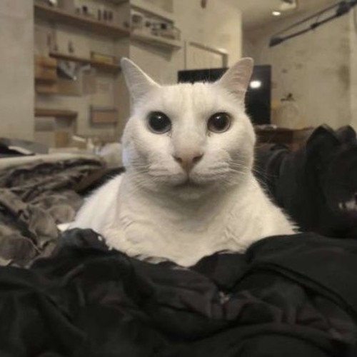 Stream Tyler The Creator X Travis Scott by Gar-onion | Listen online ...