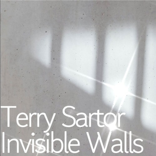 Stream Invisible Walls by Terry Sartor | Listen online for free on ...
