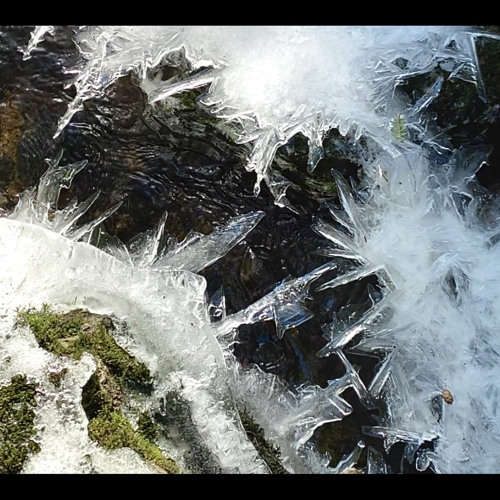 Stream Algific talus slope by unfinished birdnest | Listen online for ...