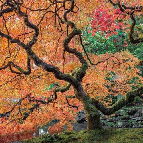 Stream wake up by Tree Tone | Listen online for free on SoundCloud