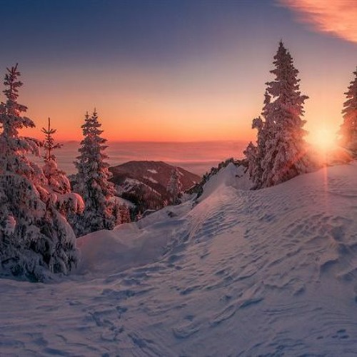 Stream Xeiden x 27.FUCKDEMONS x Jalozoo by Xeiden | Listen online for ...