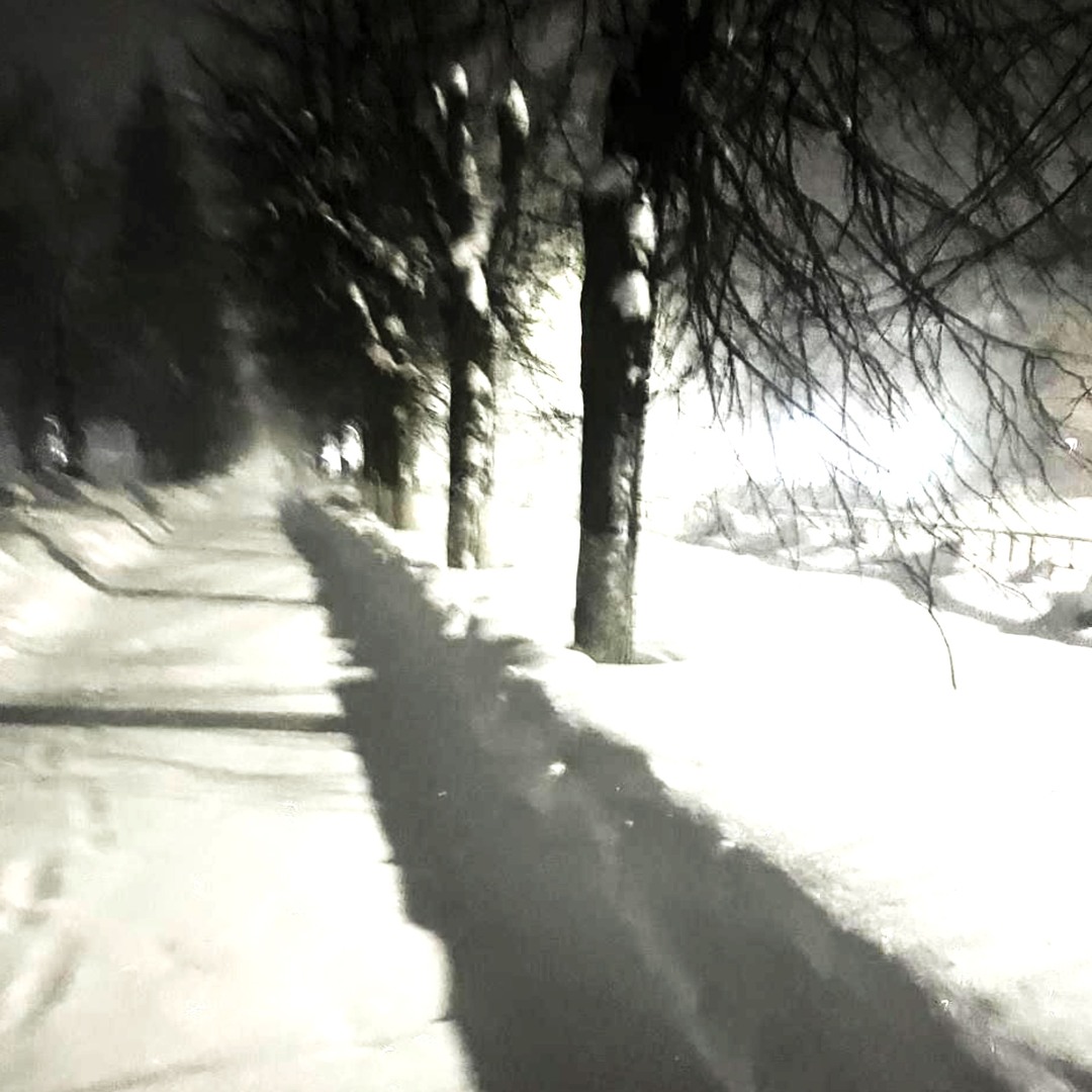 Stream Walk in the cold (slowed) by dayerteq | Listen online for free on SoundCloud