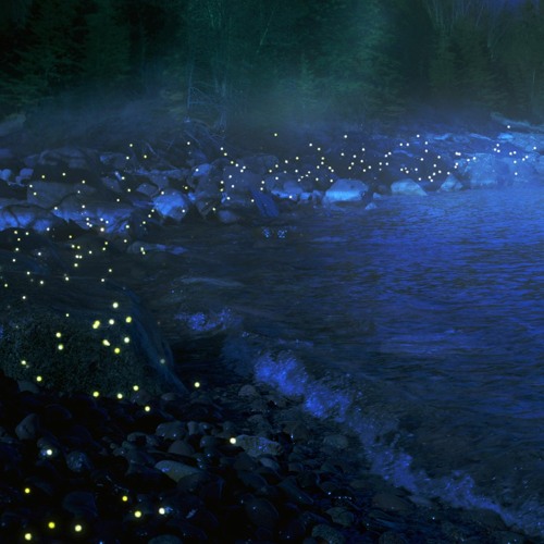 Stream Enchanted Lake Water Sounds For Sleep (75 Minutes) by Relaxing ...