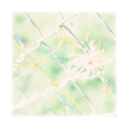 Stream Dorothy's - Your Touch by zachary crow | Listen online for free ...