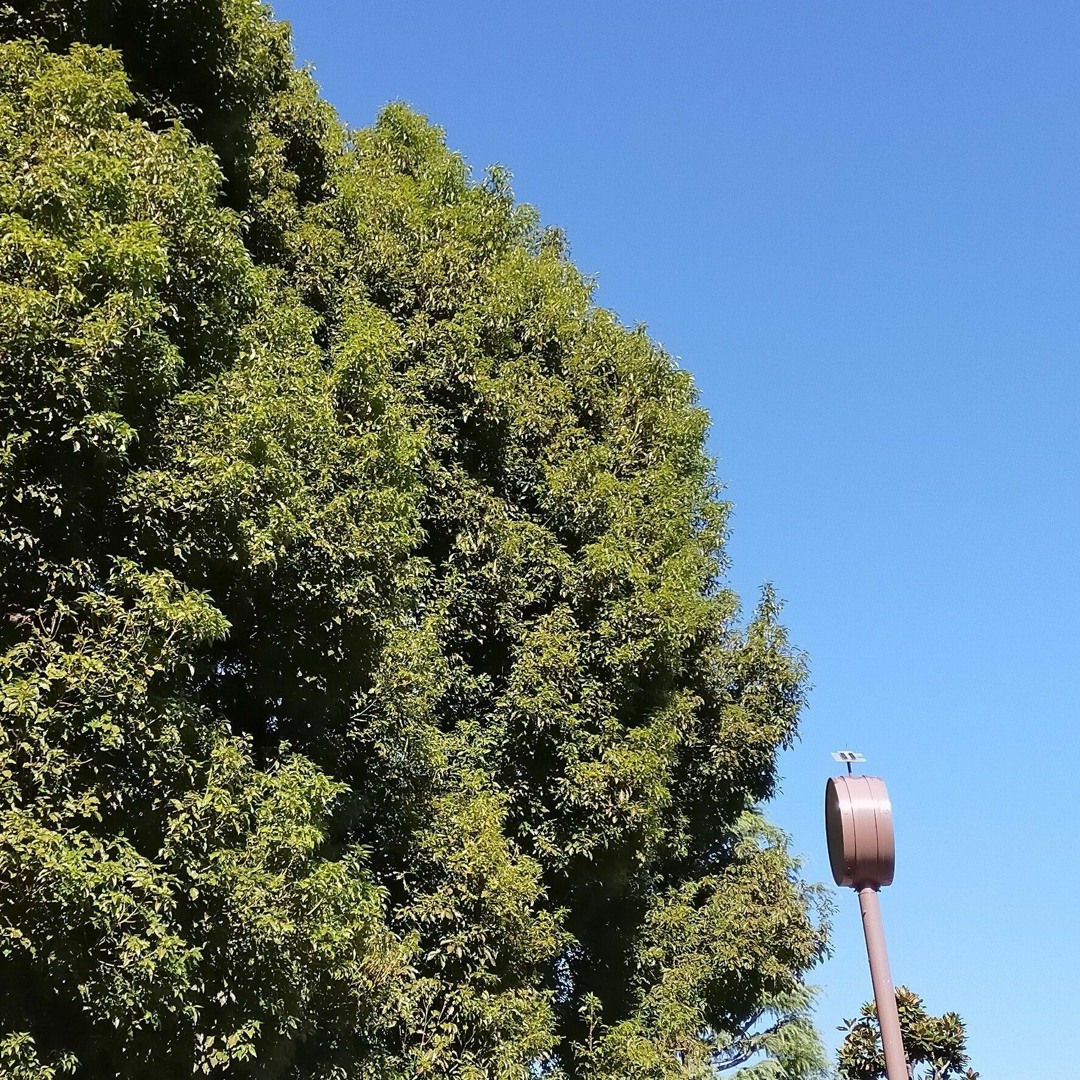 Stream okudakun - 6:30 ft. lazydoll by Otogumo Music | Listen online ...