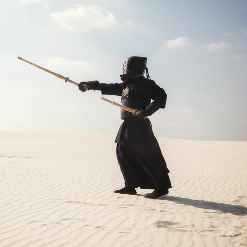 Stream Zen Warrior by SY85 | Listen online for free on SoundCloud