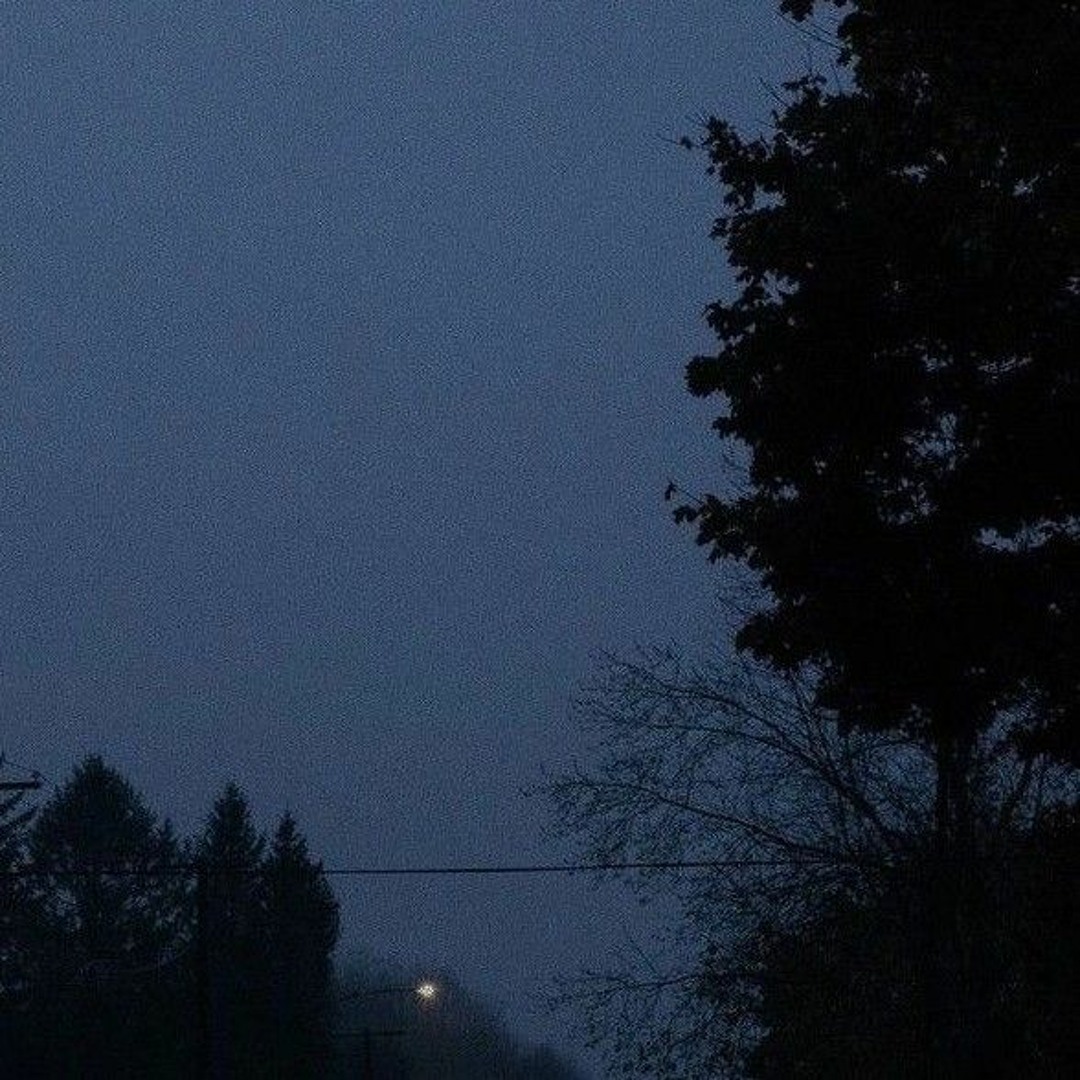 Stream hisohkah WMD - School Rooftop (Bird Sounds) by Rivers | Listen ...
