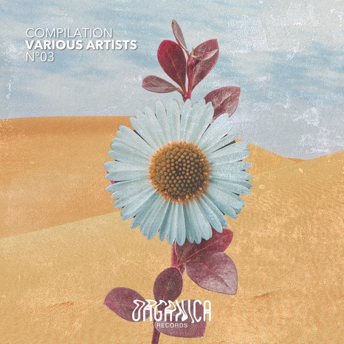 Stream Geplantes Nichtstun - Hey Heart - VA Compilation N°03 by ...