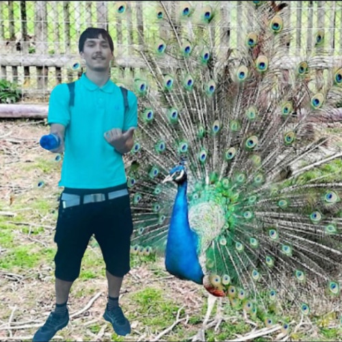 Stream OG pav - Smart Fella Remix (prod chomikswg) by chomikswg | Listen online for free on ...