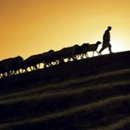 Stream The Way Of The Shepherd: 7 Ancient Secrets To Managing ...