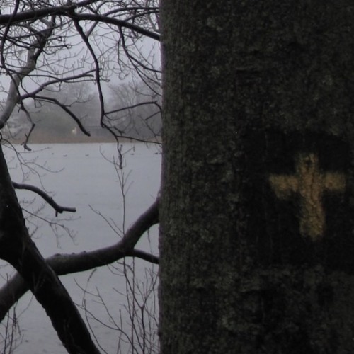 Stream forgotten ft ludem (prod. sorrow bringer) by tanr♡☆ | Listen ...