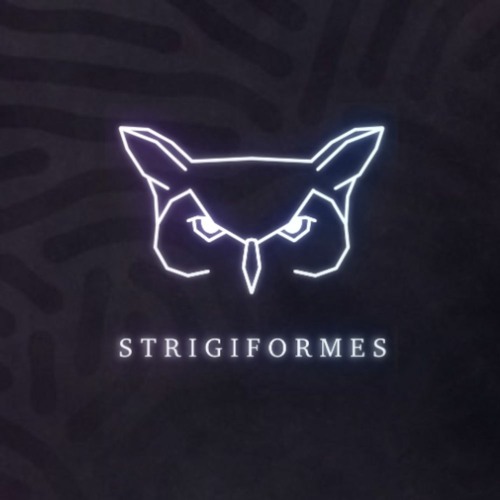 Stream Strigiformes | Listen to AIRPORT (STRIGIFORMES SELECTS) playlist ...
