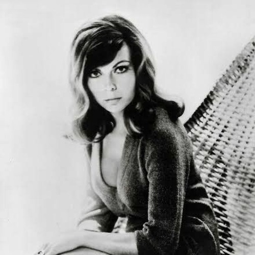 Stream Nancy Sinatra... Bang Bang by Rony Habash ... | Listen online ... Stream Nancy Sinatra... Bang Bang by Rony Habash ... | Listen online ...