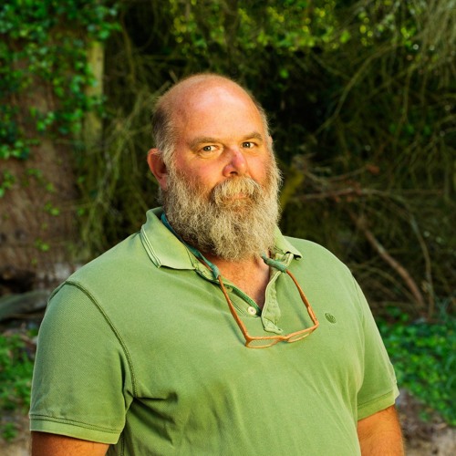 Stream Derek Gow | Beavers & Rewilding by Agile Rabbit | Listen online ...