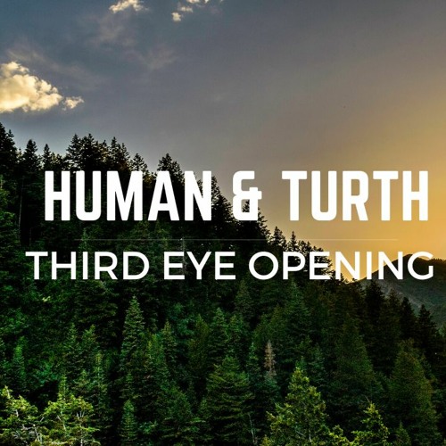 Stream Human & Truth: Third Eye Opening by Human and Truth | Listen ...