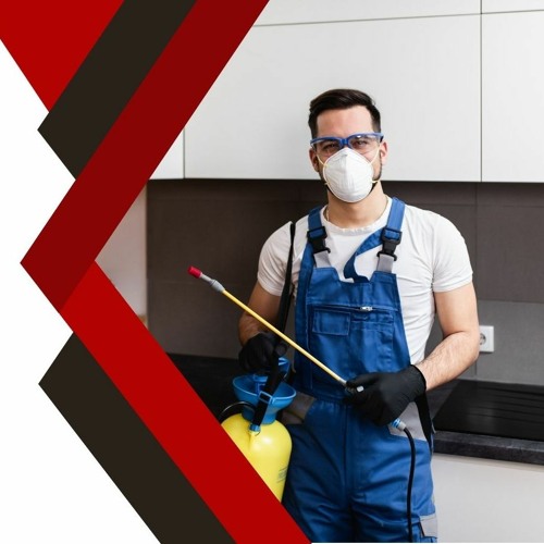 Stream Pest Control Dubai By Key Pest Listen Online For Free On