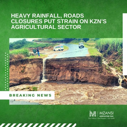 Stream HEAVY RAINFALL, ROADS CLOSURES PUT STRAIN ON KZN’S AGRICULTURAL ...