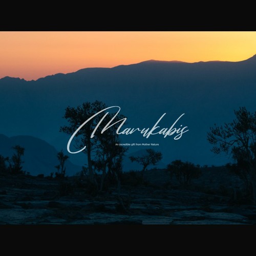 Stream Fire Red Bird Whistle by tsunenori a.k.a Marukabis | Listen ...