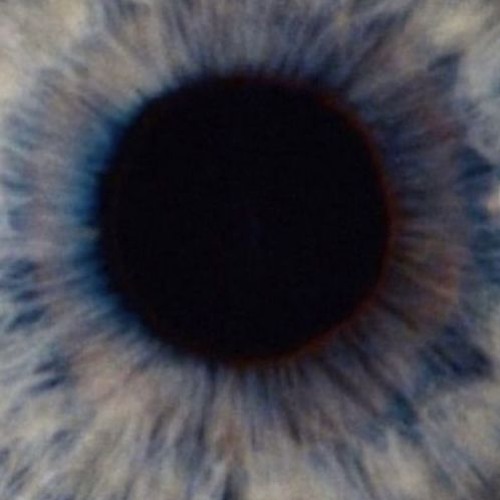 Stream Gentleman by Lepidop | Listen online for free on SoundCloud