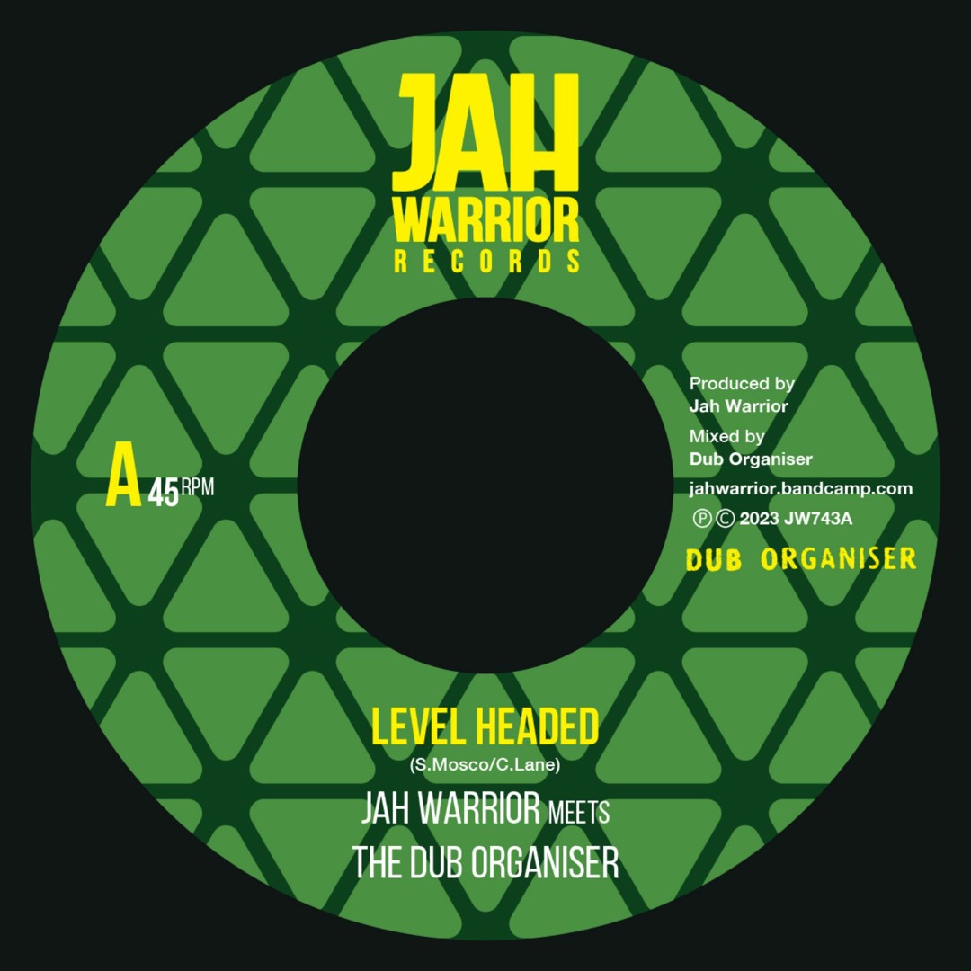 Stream Jah Warrior meets The Dub Organiser - Level Headed by Jah ...
