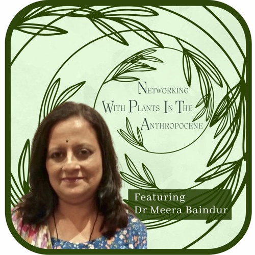 Stream episode Episode 6 Kate Brelje interviews Meera Baindur by ...