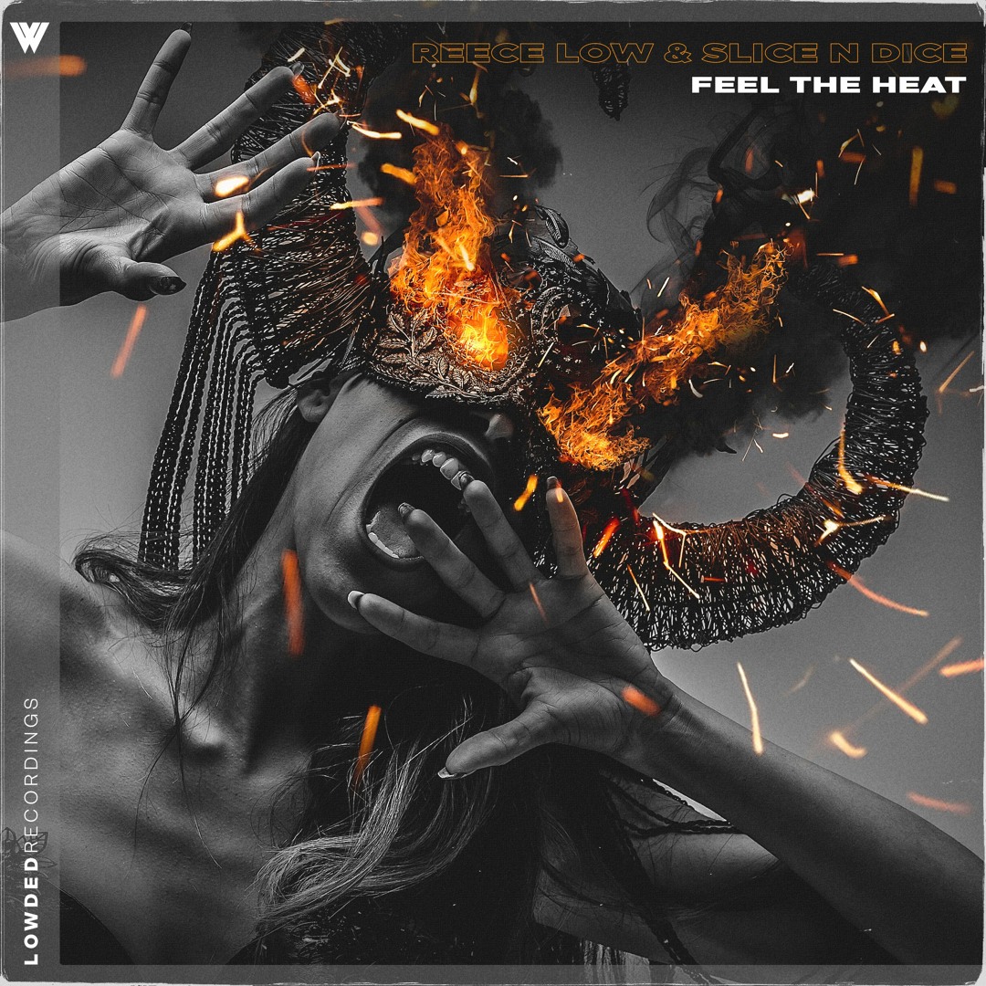Listen to Reece Low & Slice N Dice - Feel The Heat (Original Mix) by ...