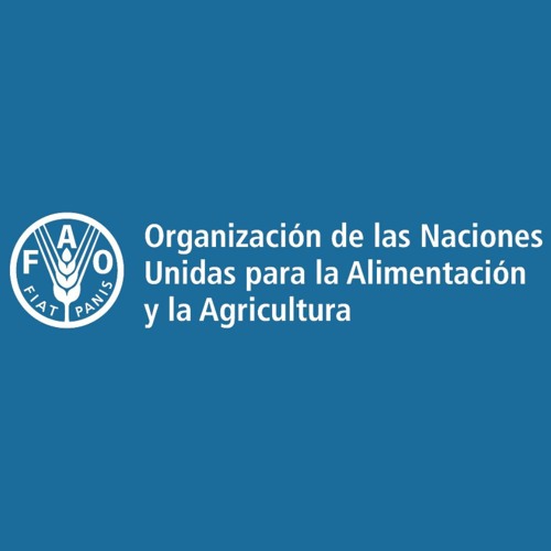 Stream Fao Listen To Objetivo Hambre Cero Playlist Online For Free