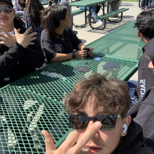 Stream fo da birds prod dumtro by Nyrin | Listen online for free on ...