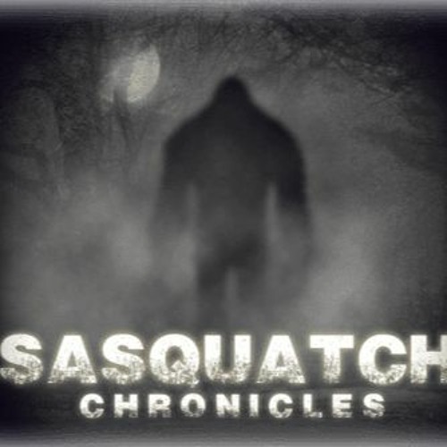 Stream Reported Sasquatch Sounds vs Known Animal Sounds by Strange ...