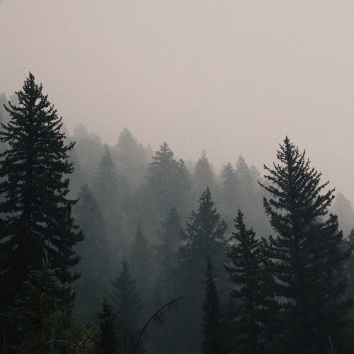 Stream medasin - microdose vol.1 by eeceen | Listen online for free on ...