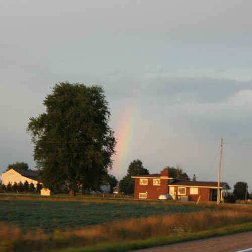 Stream Rainbow by Andrew Dann | Listen online for free on SoundCloud