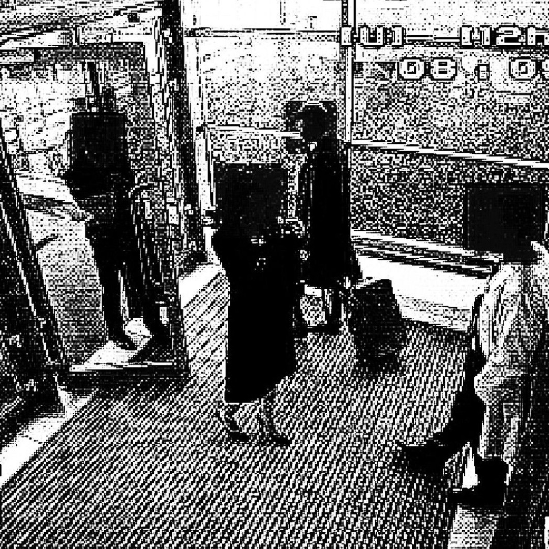 Stream DYSTOPIA (MEGA SLOWED+) by Rukaasuu | Listen online for free on ...