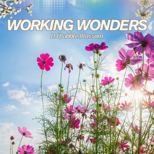 Stream Working wonders by DJ Bubble Blossom | Listen online for free on SoundCloud