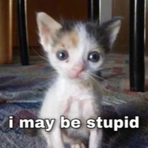 Stream TypeGingi from dialtown real | Listen to scrimbo canon playlist ...