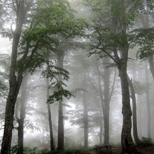 Stream Dontleave | Listen to hacking, minecraft background music FREE ...