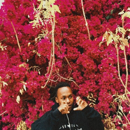 Stream PLUGBOY$ | Listen to KALIFORNIA E.P playlist online for free on ...