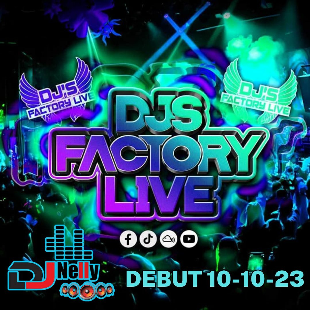 Stream DJ Nelly DJ Factory Debut by DJ Nellyofficial | Listen online ...