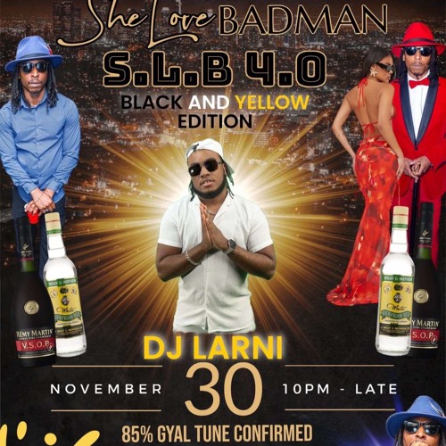 Stream SHE LOVE BADMAN 4.0 LIVE AUDIO DJ LARNI & SPARKS 2024 by DJ ...