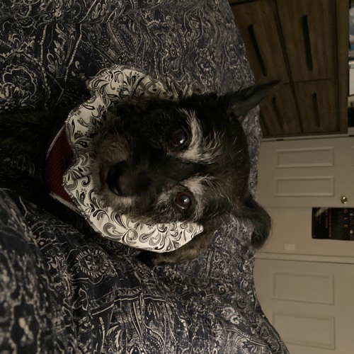 Stream Bittersweet Endgame by David Laffin | Listen online for free on ...