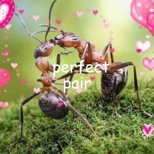 Stream The Perfect Pair (Cover) by coolkidmae | Listen online for free ...