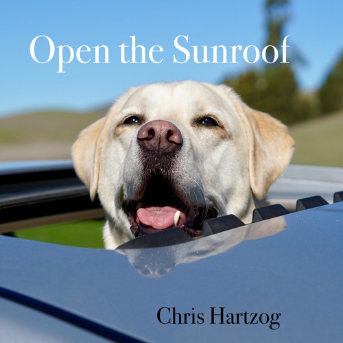Stream Open The Sunroof by Chris Hartzog Production Music | Listen online for free on SoundCloud