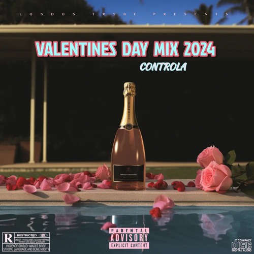 Stream Valentines Day Mix 2024 by Controla | Listen online for free on ...