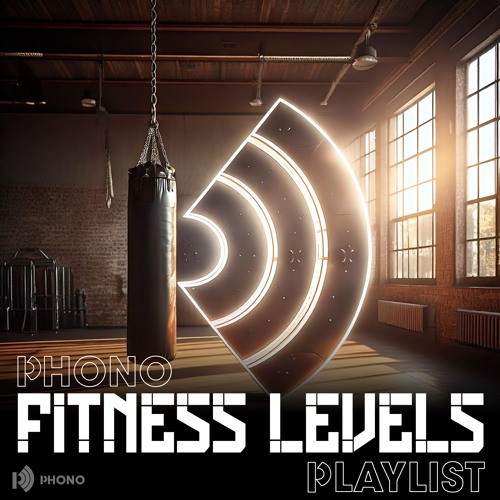 Stream Phono Sounds UK | Listen to Fitness Levels - Your ultimate ...