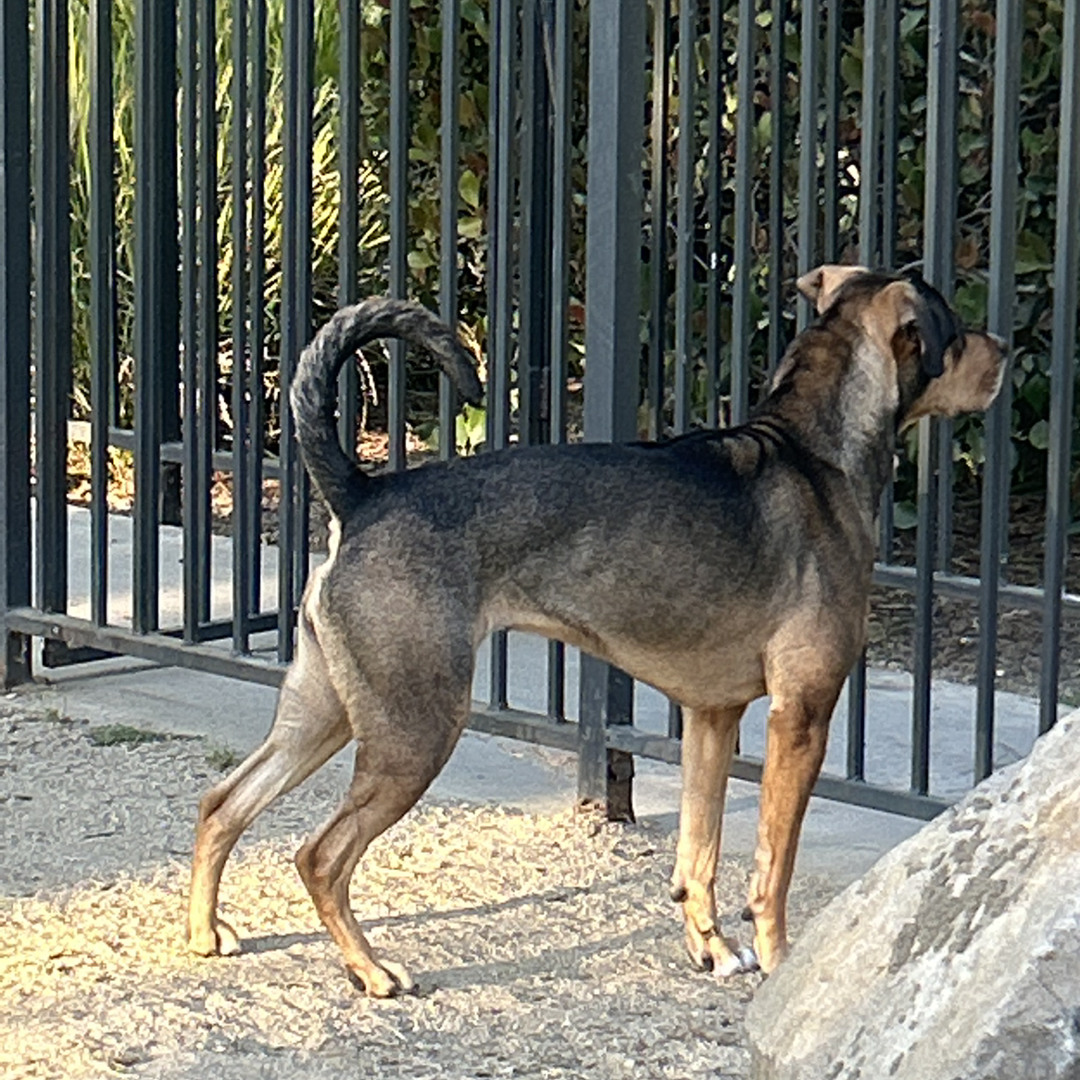 Stream ALEXK by ALEXK | Listen online for free on SoundCloud