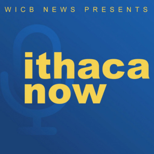 Stream Artificial turf under fire in Ithaca by WICB | Listen online for free on SoundCloud