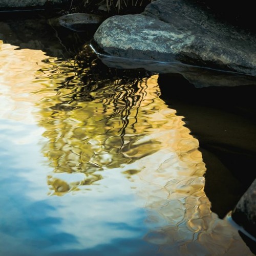 Stream Water Dripping from Canopy into River | Sony D100 by Jared Blake ...
