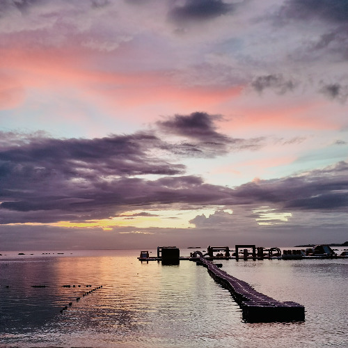 Stream Through God's Word (Hymn 1210 New Tune) (Cover) by Caitlin Tan ...